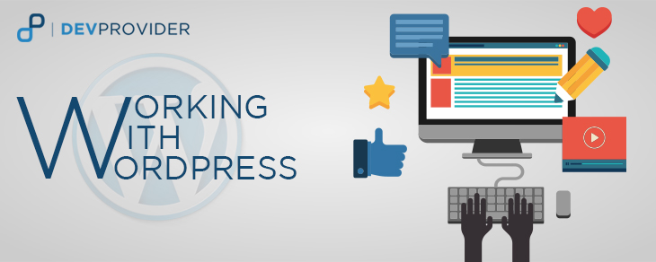 Working with wordpress - Devprovider